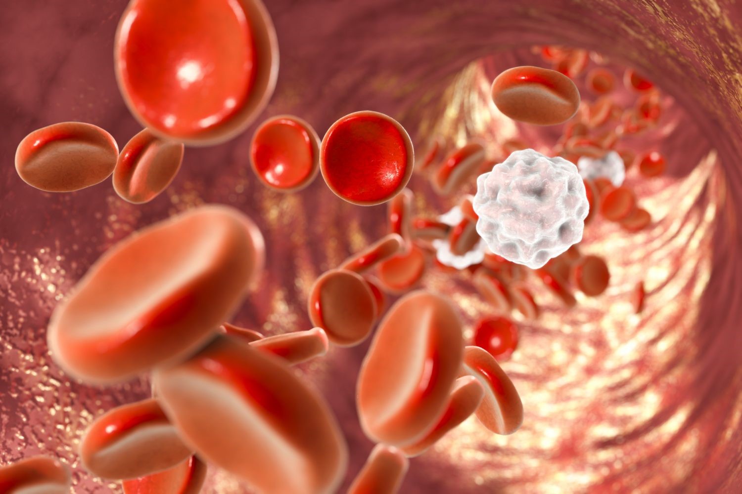 “Cardiovascular Medications: Enhancing Heart Health and Circulatory ...